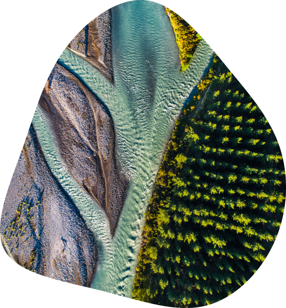 Checkerspot | Scaling Fats and Oils Through Microalgae Fermentation